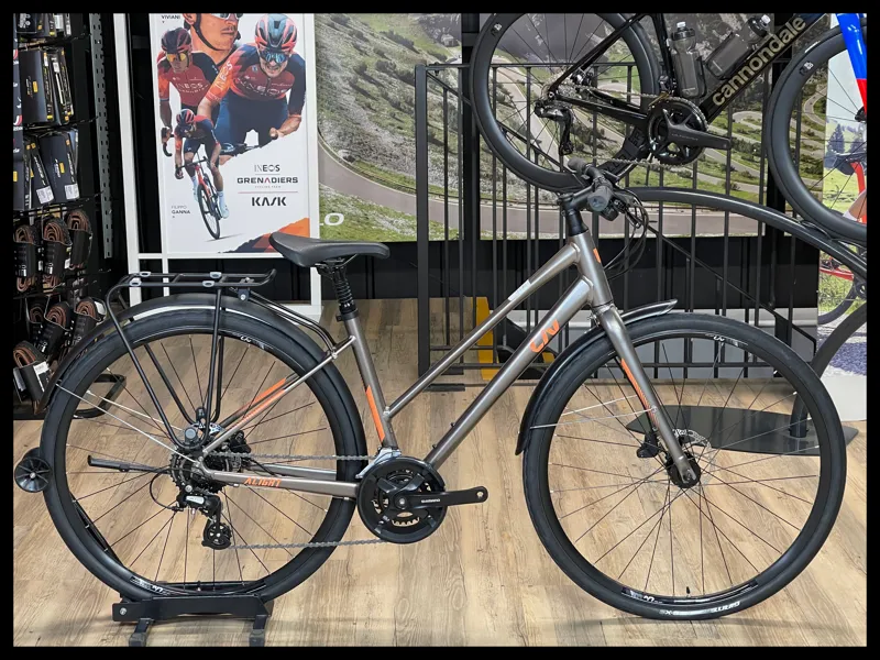 2022 Liv Alight Disc 2 City Womens Alloy Hybrid Bike in Silver